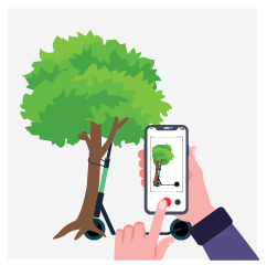 Rabbit Mobility - Micro-mobility sharing platform